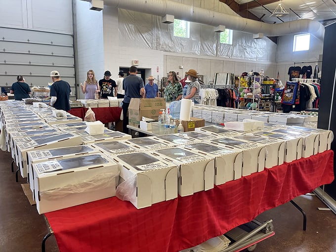 The ephemera section draws in history buffs and the curious alike. Those white boxes contain someone's memories, now waiting for new appreciation.
