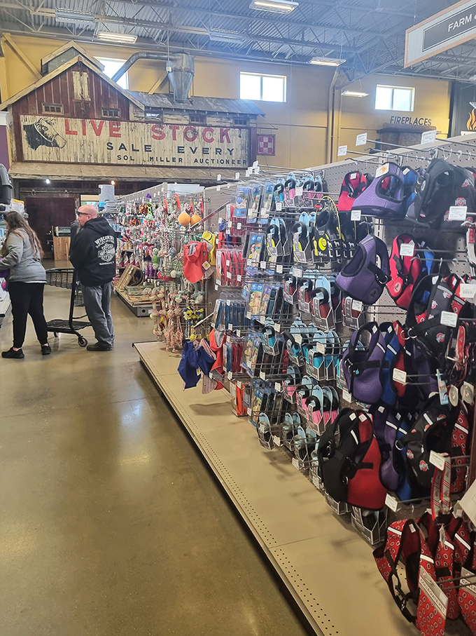 The "Live Stock" sign above modern merchandise creates the perfect timeline of Hartville's evolution from farm auction to shopper's paradise.