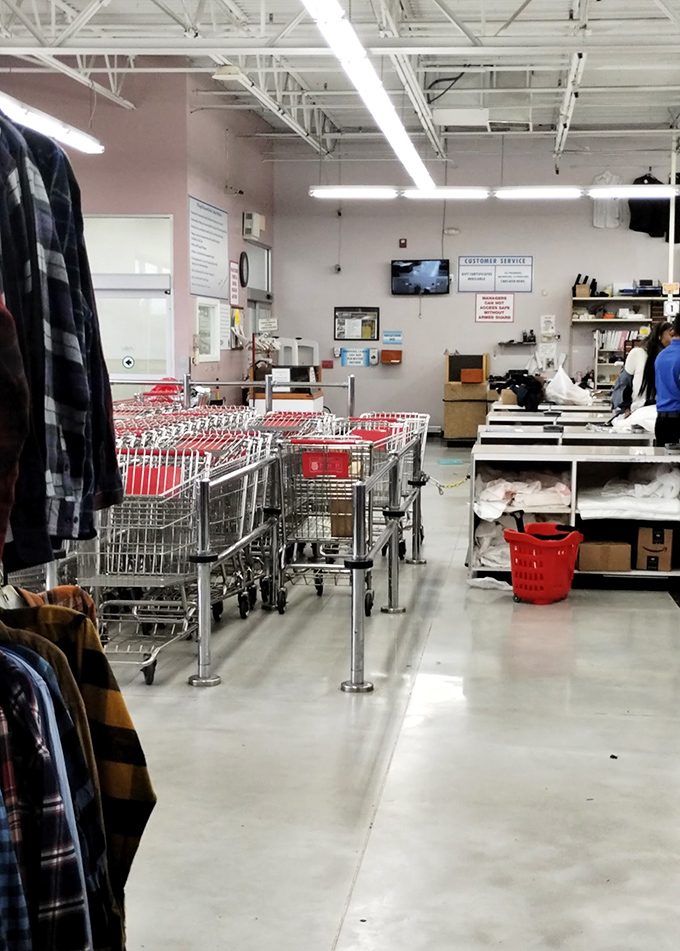 Shopping carts lined up like soldiers, each awaiting its mission to carry home improbable bargains and unexpected finds.