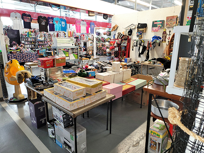 Organized chaos is an art form here. This vendor has mastered the "display everything and let shoppers discover" technique that keeps people digging for hours.