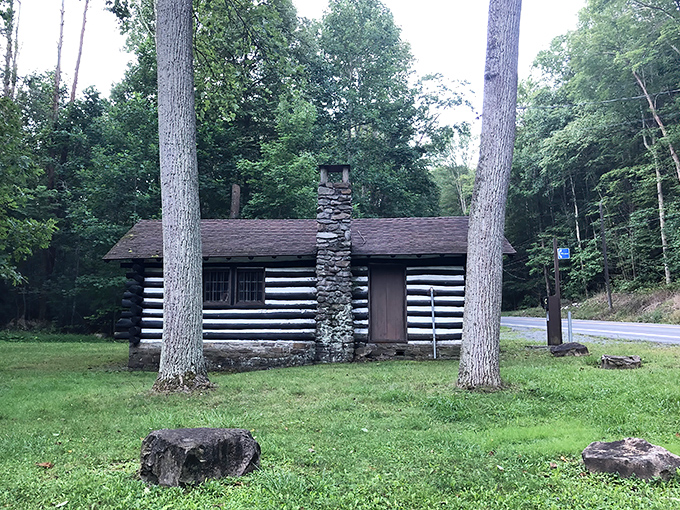 The park's rustic log cabin stands as a testament to craftsmanship. Like stepping into a sepia-toned postcard from Pennsylvania's past.