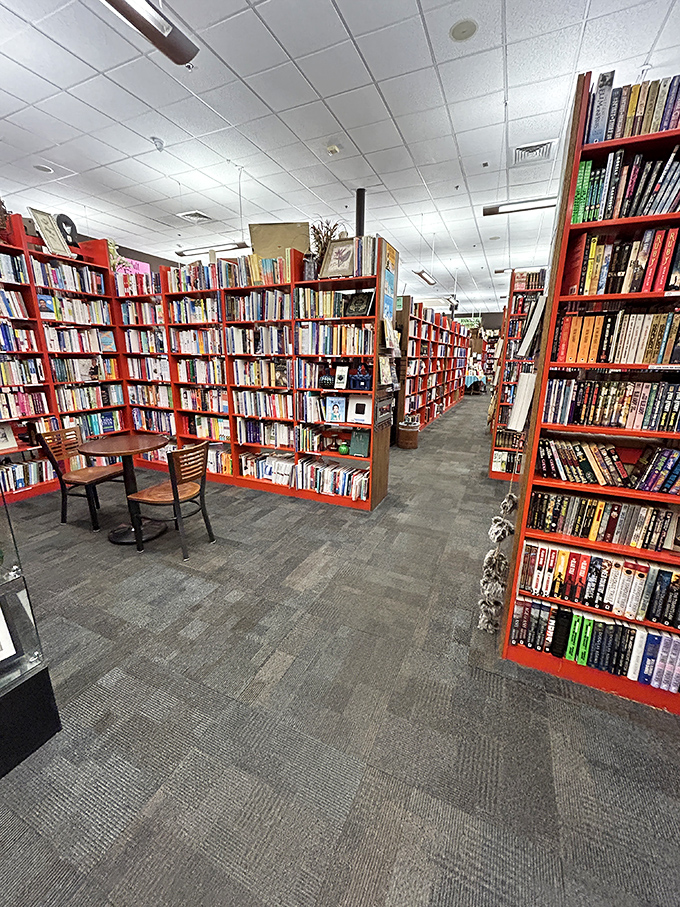 Red shelves create literary canyons to get wonderfully lost in, with chairs strategically placed for when your legs give out before your curiosity does.