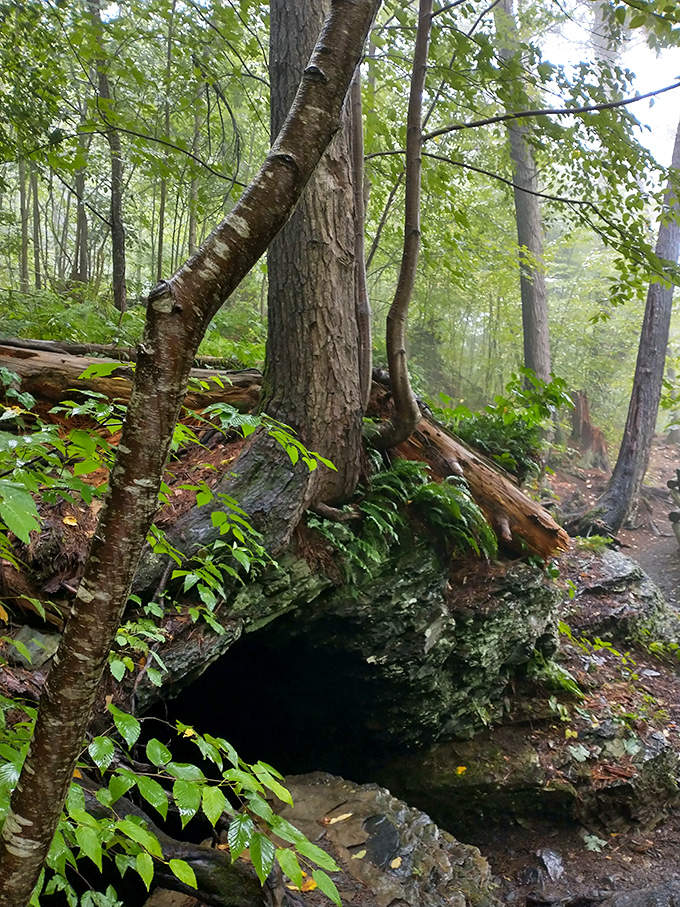 This mysterious little cavern looks like the entrance to a fantasy novel. Half expect a woodland creature to emerge offering riddles and quests.