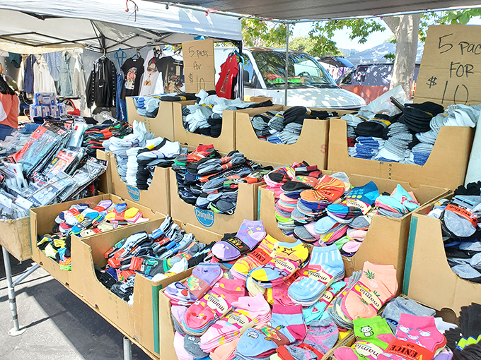 Sock heaven exists, and it's organized by color! From cartoon characters to everyday essentials, your feet have never been so spoiled for choice.