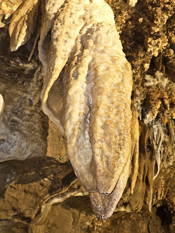 This stalactite looks like nature's attempt at ice cream that never melts. Formed drop by patient drop over thousands of years.