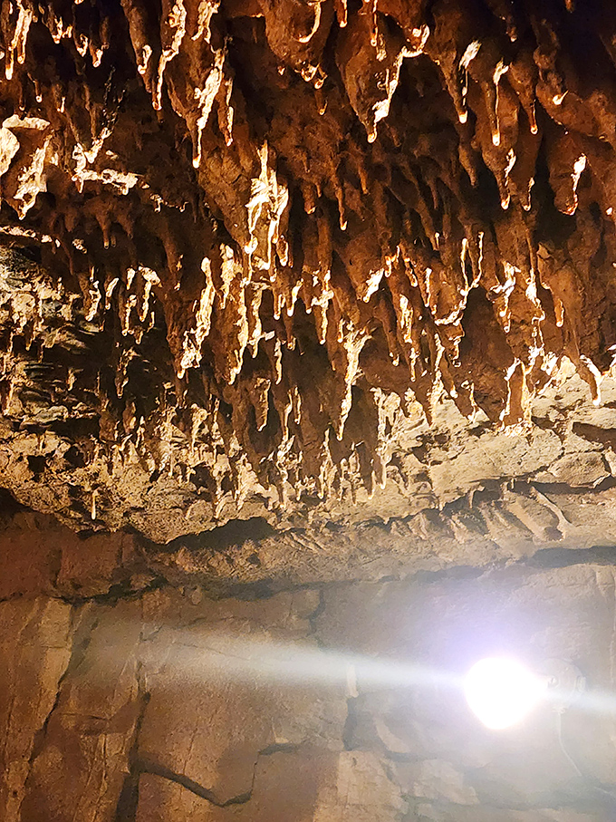 Delicate formations hang like nature's chandelier collection, each piece crafted over centuries of patient geological artistry.