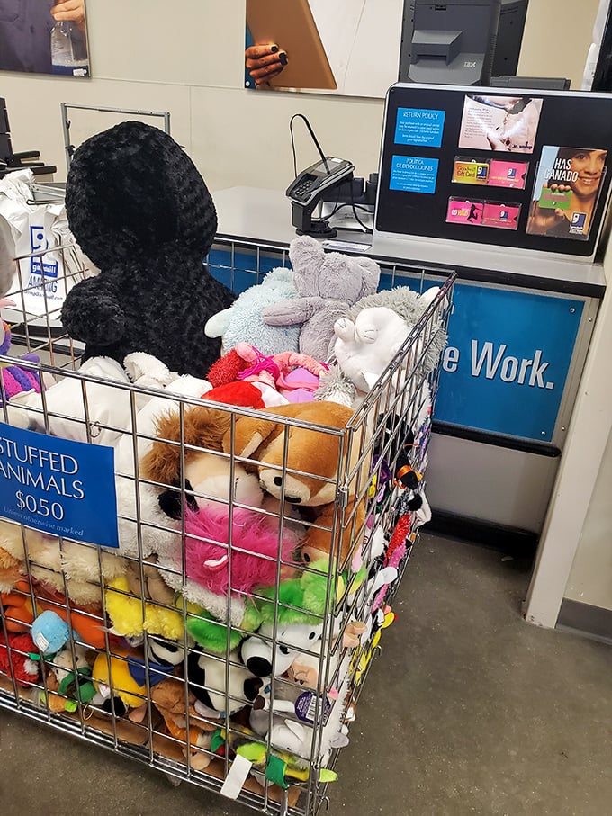 A wire basket full of stuffed animal refugees, each with button eyes that say, "Take me home and give me a second chapter."