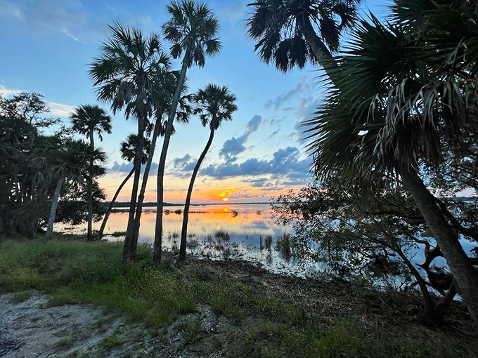 Mother Nature showing off at sunset, painting the sky in colors that would make even the most jaded Floridian stop scrolling and stare.