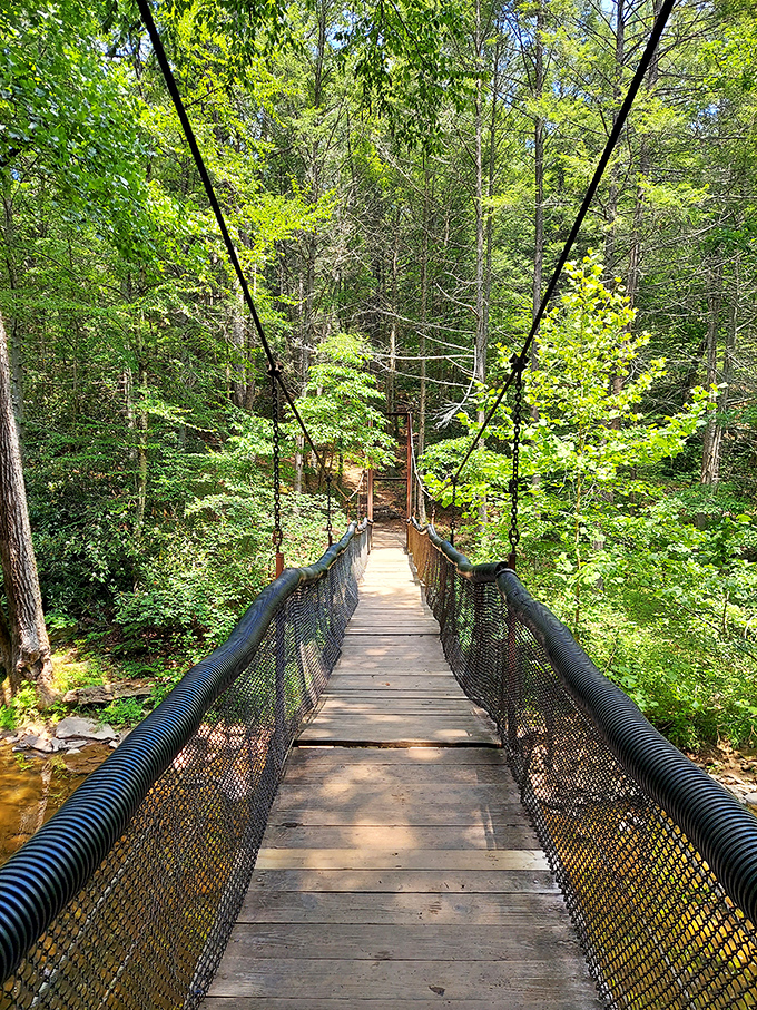 The suspension bridge gently swaying underfoot adds that perfect touch of adventure without requiring an insurance waiver or emergency contact.