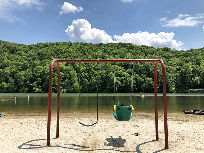 Childhood distilled into one perfect frame. That swing set against the backdrop of forested hills is nostalgia in 3D.