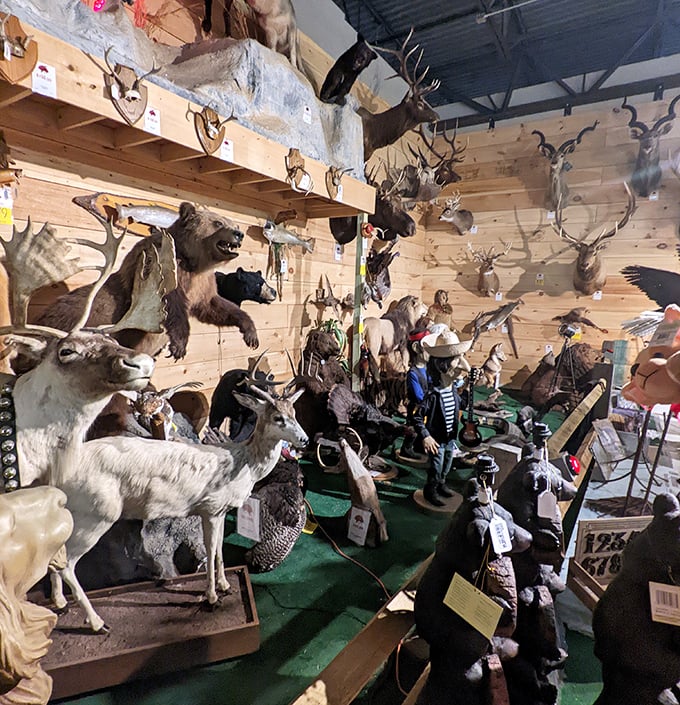 The taxidermy section showcases Pennsylvania's hunting heritage with a display that's part natural history museum, part conversation starter for urban visitors.