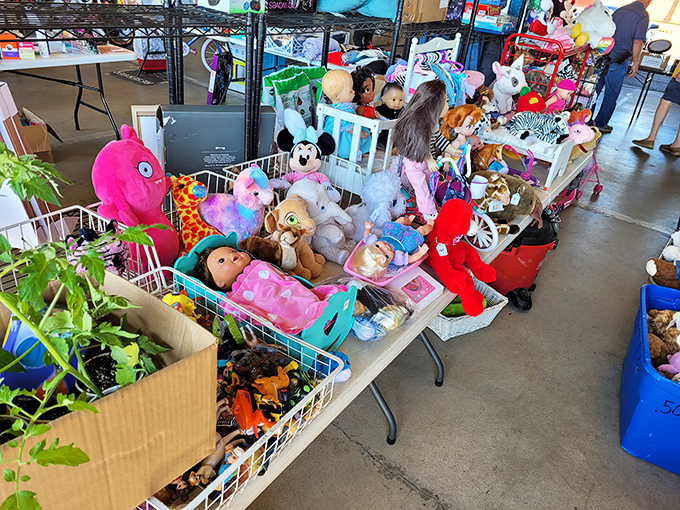 Stuffed animals waiting for second chances&mdash;each plush friend hoping to be the next cherished companion in a child's growing collection of memories.