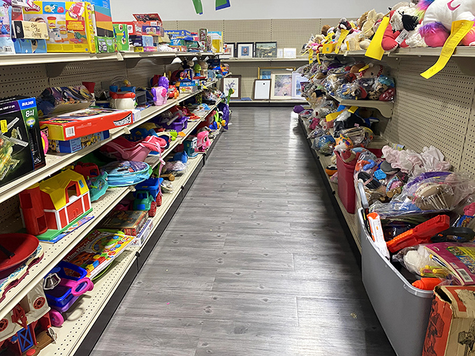 Childhood joy, meticulously organized by aisle. One kid's outgrown plastic barn becomes another's first farm, creating new memories at a fraction of retail prices.