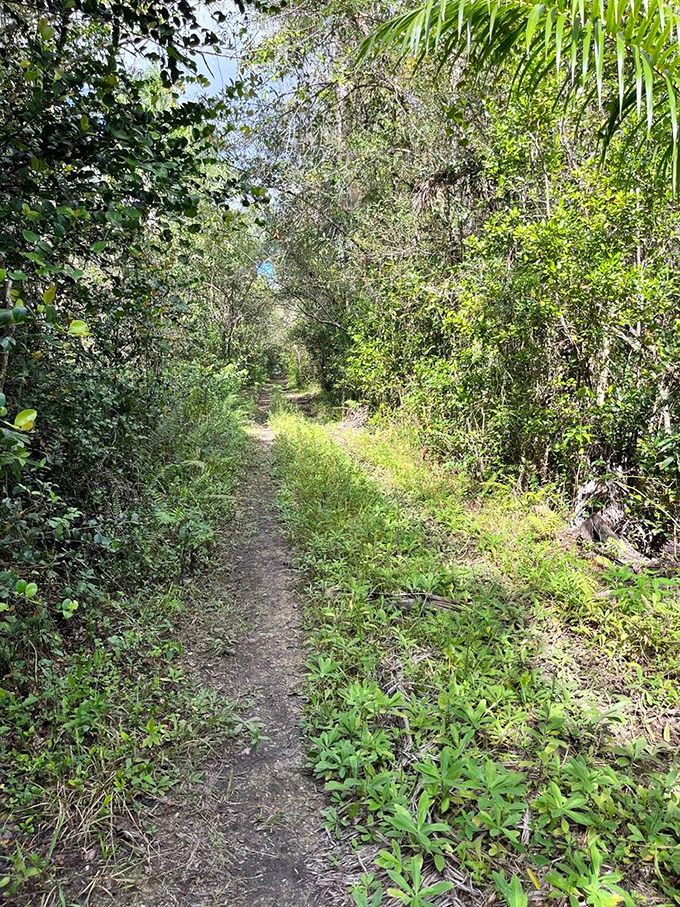 The path less traveled actually has some travelers! This narrow trail promises adventure without the gift shop at the end.