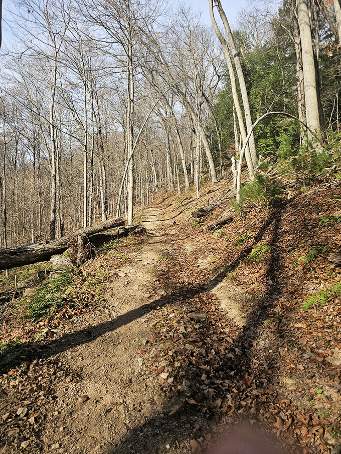 This trail doesn't need Wi-Fi to connect you to something greater—just sturdy shoes and a willingness to leave the digital world behind.