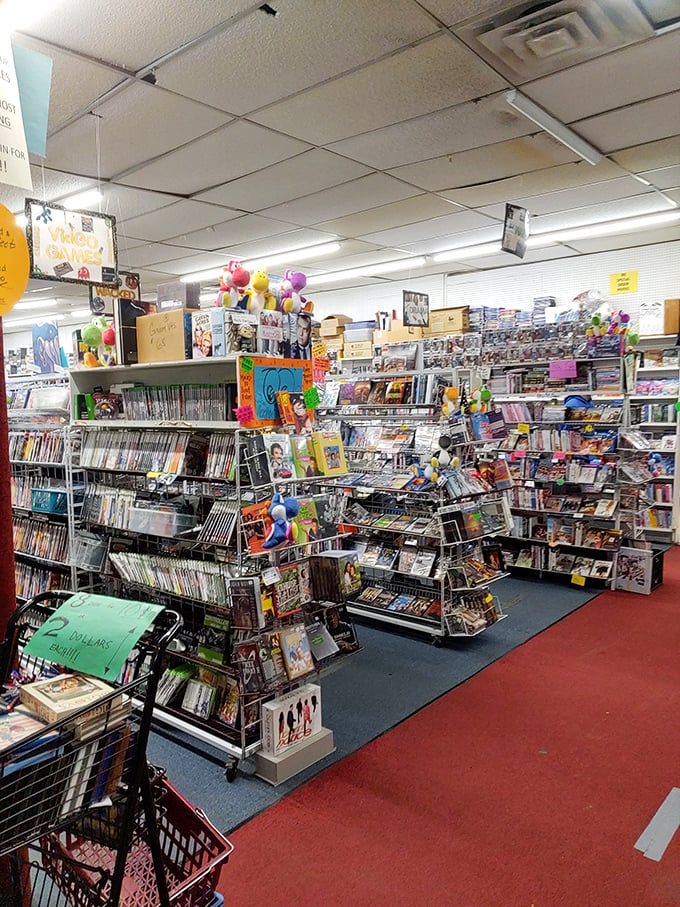 Gaming paradise awaits where vintage meets modern, creating the ultimate playground for entertainment enthusiasts of all ages.