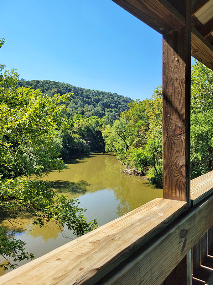 Frame your world through weathered wood and witness how perspective changes everything you thought you knew.