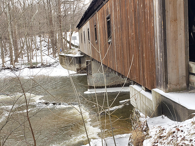 Winter snow creates a scene so pristine it makes those expensive holiday cards look amateur.