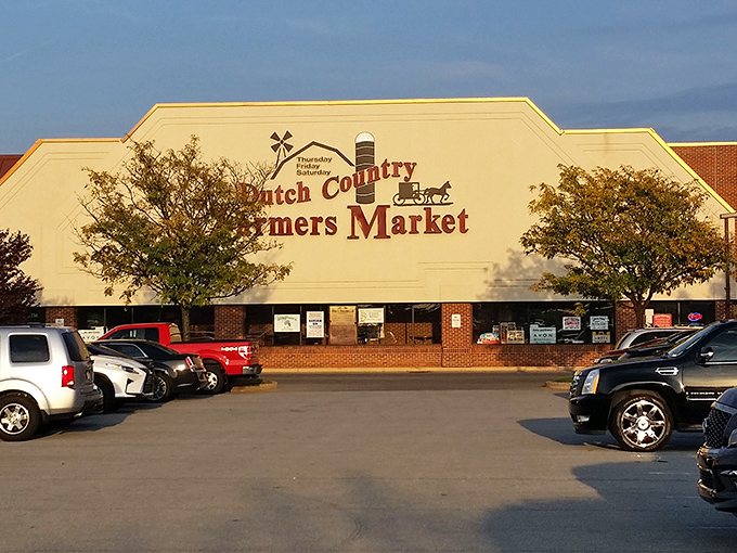 Hidden within Dutch Country Farmers Market, A&R's yellow counter beckons with Amish-inspired donut treasures.