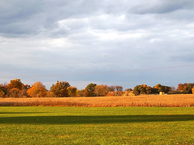Autumn in Ohio's Amish Country&mdash;where the corn turns golden and the pace of life remains deliciously unhurried.