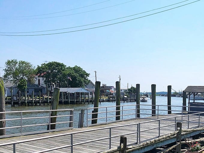Jet skiers carve liquid signatures across Bowers Beach waters, writing stories they'll tell for years to come.