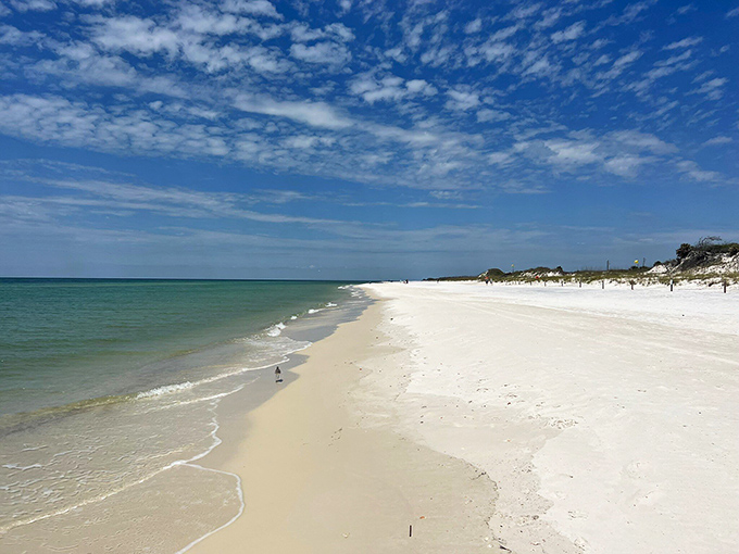 Cape San Blas whispers promises of solitude and discovery along shores where dolphins play just beyond the breaking waves.