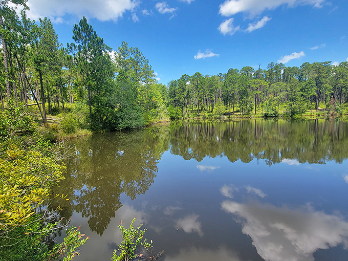 Mirror, mirror on the pond! Falling Waters' reflective lake surface doubles the beauty of Florida's unexpected hills and forests.