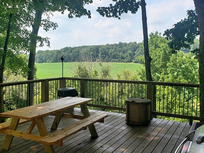 Take a seat at the picnic table and enjoy the peaceful forest views from your private deck in French Lick.