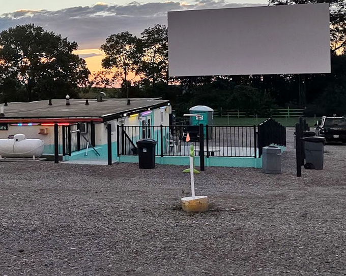 Holiday Auto Theatre's lush green hedges frame the experience perfectly. Nature and cinema in harmony as the sun begins its descent.