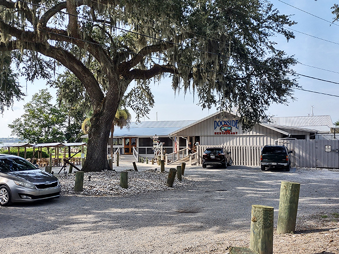 That magnificent oak tree has seen generations enjoy Dockside's seafood. Nature's perfect dining companion.