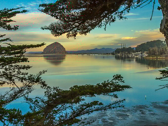 Morro Rock rises majestically from the bay, nature's own monument that no human architect could improve upon.