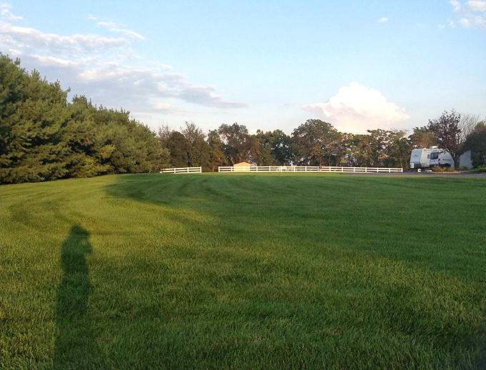 Narvon's autumn fields burst with pumpkins ready for pie. Mother Nature's dessert table is looking mighty fine!