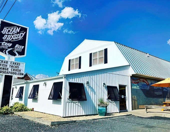 Ocean Odyssey: White siding, metal roof, and a sign promising seafood adventures &ndash; this roadside gem is worth every mile of the journey.