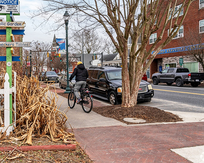 Cyclists and pedestrians share Seaford's revitalized downtown, proving historic districts make the best community spaces.