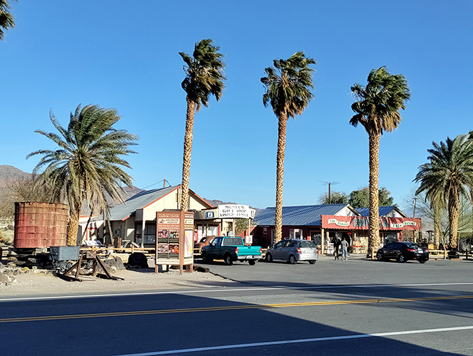 Shoshone's palm trees create an oasis effect that's not a mirage – though after hours in the desert, you might need to pinch yourself.