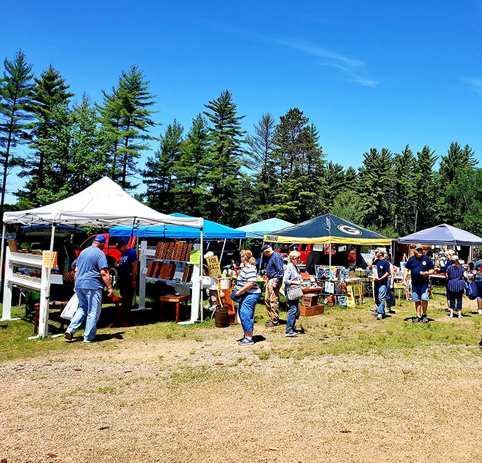 Northwoods charm meets serious treasure hunting under towering pines and endless blue summer skies above.