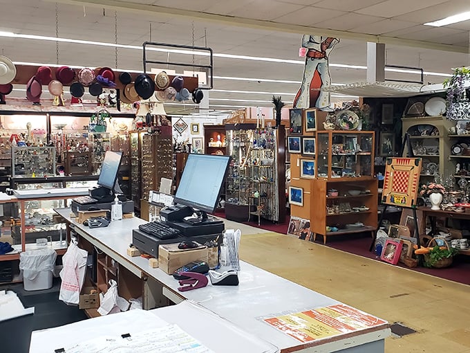 The Mega Mall's spacious interior stretches seemingly forever, like your aunt's story about meeting a minor celebrity in 1976. Every aisle promises new discoveries.