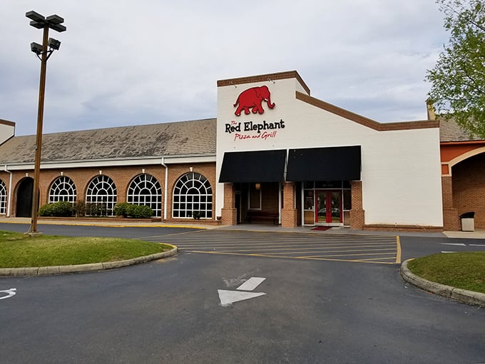 The Red Elephant's distinctive signage stands out like a beacon for hungry pizza lovers. This Tallahassee favorite never forgets its namesake.