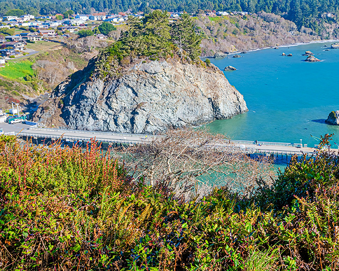 Trinidad's protected harbor shelters fishing boats beneath towering redwoods in this hidden coastal gem. 