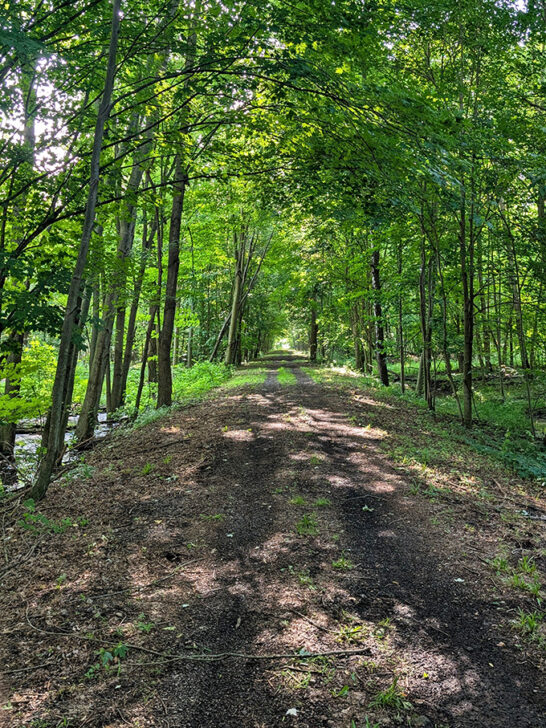 12 Gorgeous Day Trips In Ohio You Can Do For Under $50