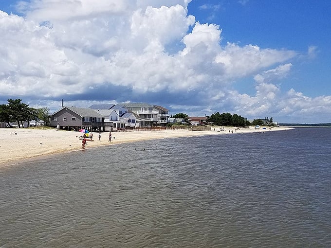 Waterfront homes in Bowers Beach offer front-row seats to nature's daily water ballet.