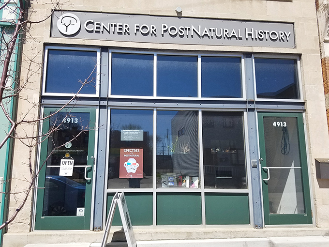 Behind this unassuming storefront, the Center for PostNatural History showcases creatures shaped by human hands. Science gets wonderfully weird here.