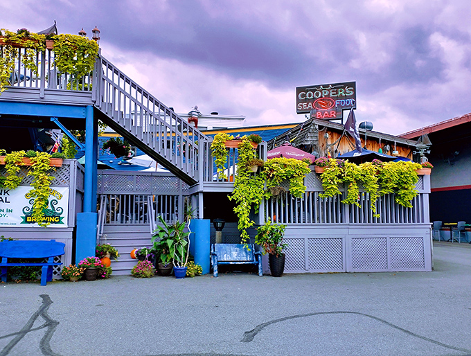 Part theme park, part restaurant, all delicious &ndash; Cooper's proves you can have fun with your fish.