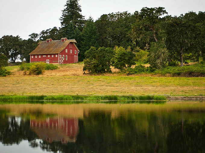A classic red barn reflects in still waters near Corvallis – rural Oregon doesn't get more picture-perfect than this.