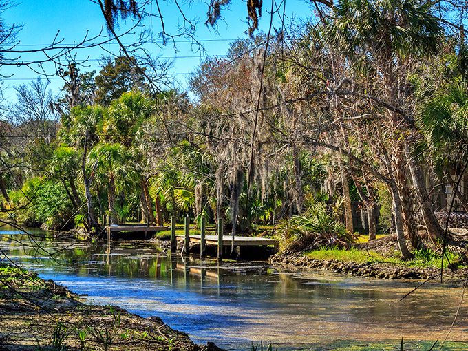 Nature's swimming pool &ndash; where crystal clear waters and lush greenery create Florida's most magical swimming experience.