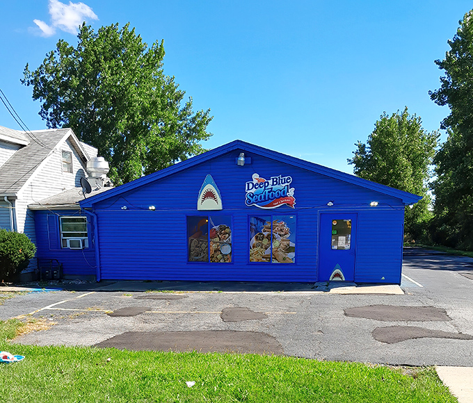 Shark decorations guard the entrance to this blue seafood haven &ndash; a warning that serious seafood cravings will be satisfied here.