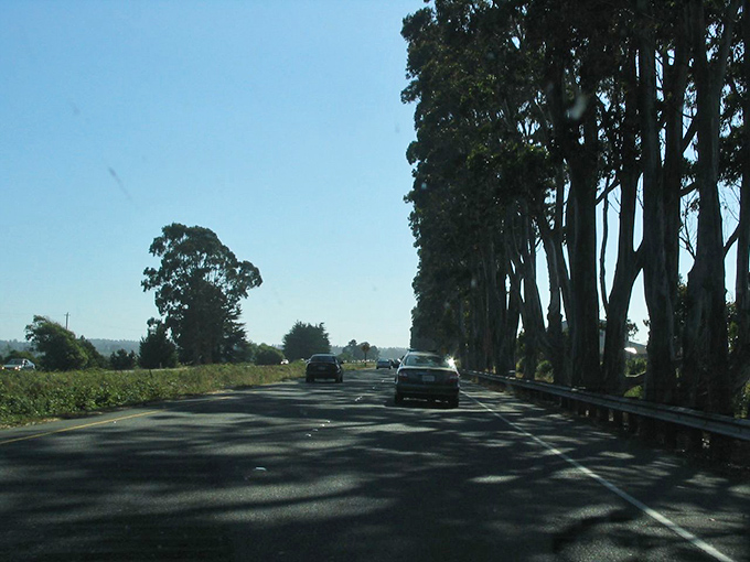Victorian-era charm meets modern convenience where every street corner tells a fascinating coastal story.