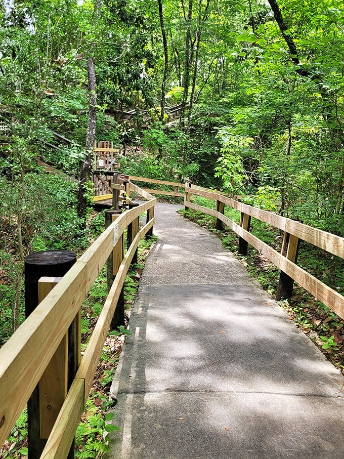 Nature's stairmaster with rewards! The winding boardwalk at Falling Waters leads to breathtaking views that make every step worthwhile.