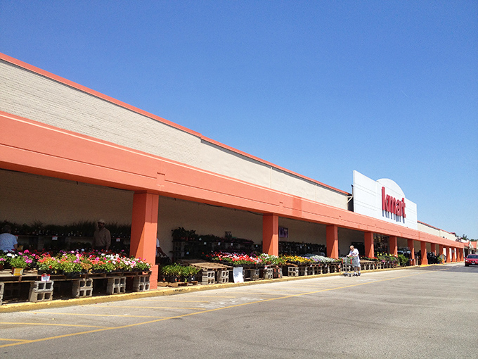 Spring flowers bloom in cheerful rows like nature's own welcome mat.