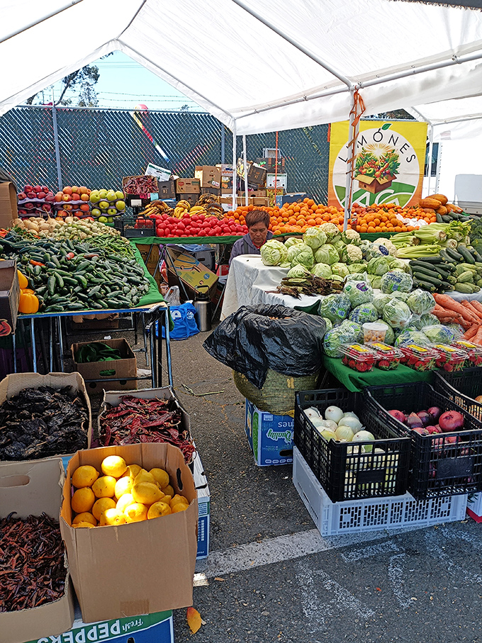 Fresh from the farm to the flea market! Galt's produce section is a rainbow of fruits and vegetables that makes grocery stores seem silly.
